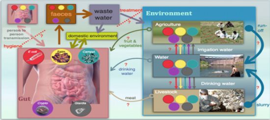 NUST Researchers undertake EU Funded GastroPak Project to Quantify ...
