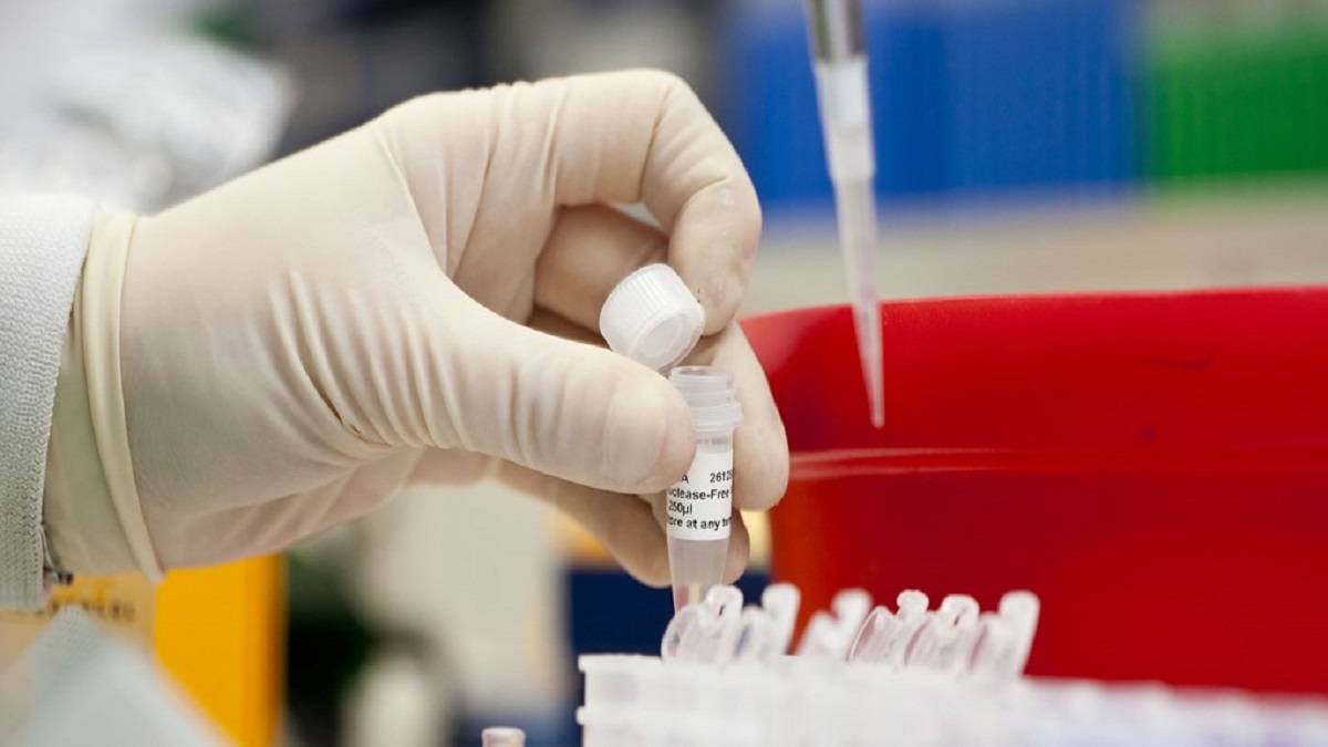 Molecular Immunology Lab at NUST for diagnosis of viral and cancer ...