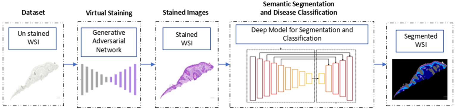 DERMA-VISION: Transforming Skin Pathology with AI-Powered Innovation ...
